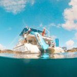 Port Stephens: Splash 'n' Slide Dolphin Cruise - The Breakdown of the Tour