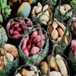 Port Vila's Guided Food Experience - Why the Tour Works: Highlights and Unique Features