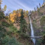 Portland: Columbia Gorge Scenic Bikeway Full-Day Ride - What Makes the Tour Stand Out?