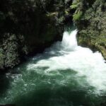 Ports of Tauranga/Rotorua/Tga - 6 Hours Rotorua Highlights Tour - Authentic Insights from Reviewers