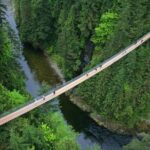 Post-cruise: Vancouver Tour with Lookout & Capilano Bridge - What Reviewers Are Saying