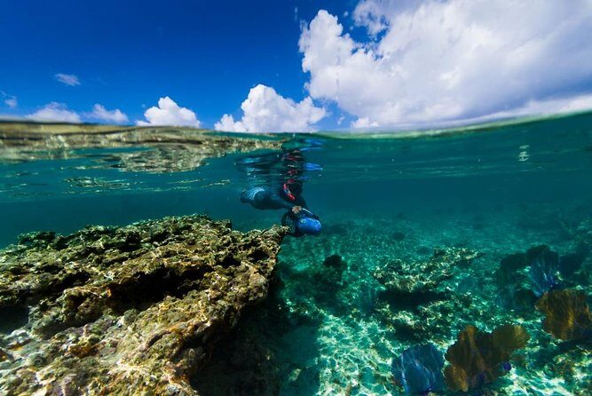 Power Snorkel By Sea Scooters & Tequila Tasting - Who Should Consider This Tour?
