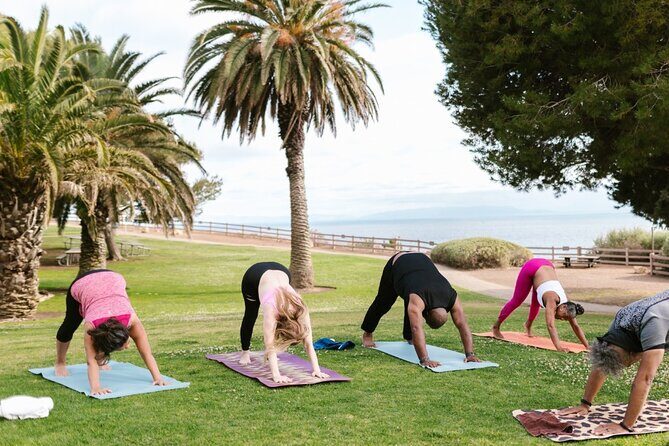 Power Up Your Girls Trip with Savannah Mobile Yoga Class - The Experience Overview