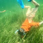 Premier Scalloping Adventure on Florida's Nature Coast - The Practicalities: What Makes This Tour Stand Out