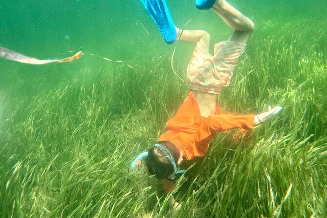 Premier Scalloping Adventure on Florida's Nature Coast - The Practicalities: What Makes This Tour Stand Out