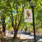 Premium Adelaide Hills Cleland Wildlife and Hahndorf Minibus Tour - Who is this tour best for?