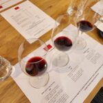 Premium All-Inclusive Barossa Food and Wine Minibus Tour - Who Would Love This Tour?