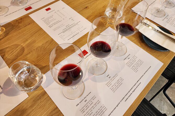 Premium All-Inclusive Barossa Food and Wine Minibus Tour - Who Would Love This Tour?