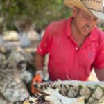 Premium Finca 18 Tequila Tour & Chocolate Pairing + Pickup Points - Why This Tour Excels According to Guests