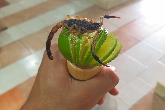 Premium Mezcal Tasting and Class - Who Will Love This Tour?