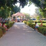 Premium Shore Excursion & Local Culture Tour - What’s Included and What’s Not