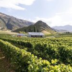 Premium Wine Tour Queenstown Tasting at 4 Wineries - The Value of the Experience
