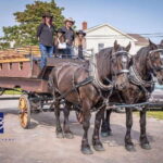 Prince Edward Island: Horse-Drawn Carriage Tour - The Value of This Experience