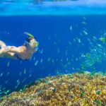 Private 3-Hour Snorkeling Tour with Arch Tour and Beach Time - Practical Tips for Your Trip