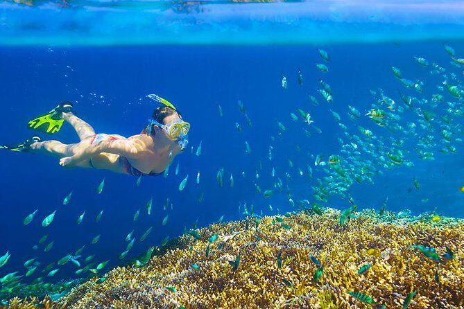 Private 3-Hour Snorkeling Tour with Arch Tour and Beach Time - Practical Tips for Your Trip