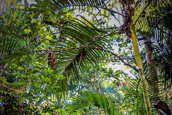 Private 4 hour Hiking Adventure + Breakfast in Nogalito Ecopark - The Guides and Their Impact