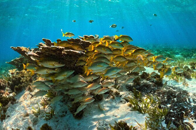 Private 6 Hours Yacht, Cancun to Isla Mujeres - The Experience in Detail