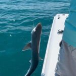 Private 8 hour Fishing Activity with Master Captain Bill - Authentic Insights from Past Participants