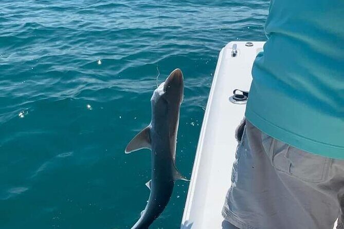 Private 8 hour Fishing Activity with Master Captain Bill - Authentic Insights from Past Participants