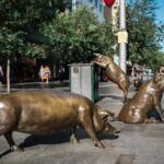 Private Adelaide Walking Tour - An In-Depth Look at the Itinerary