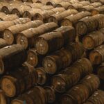 Private Adventure Day Tour to Tequila and Cazcanes Distillery - What to Expect from the Tour