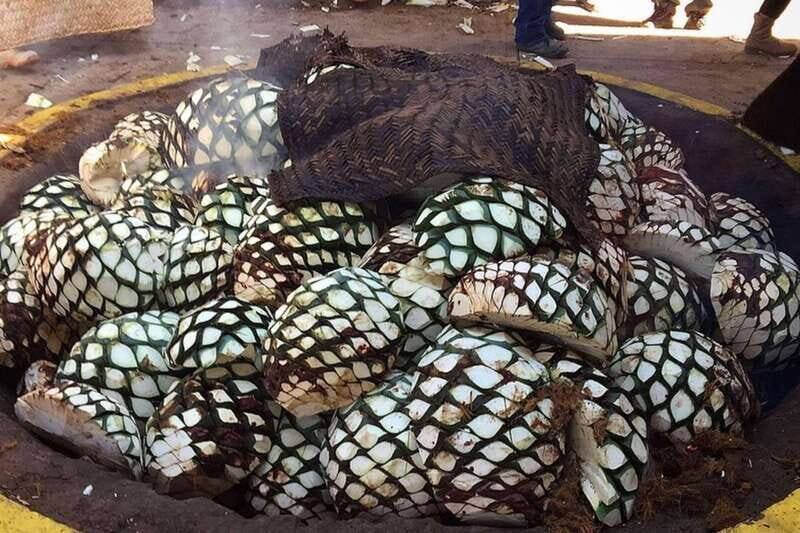 Private Adventure to Tequila and el Cascahuin Distillery - What Sets This Tour Apart?