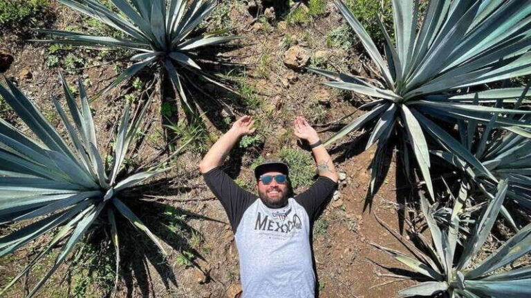 Private Adventure to Tequila and la Fortaleza Distillery - Practical Details and Value