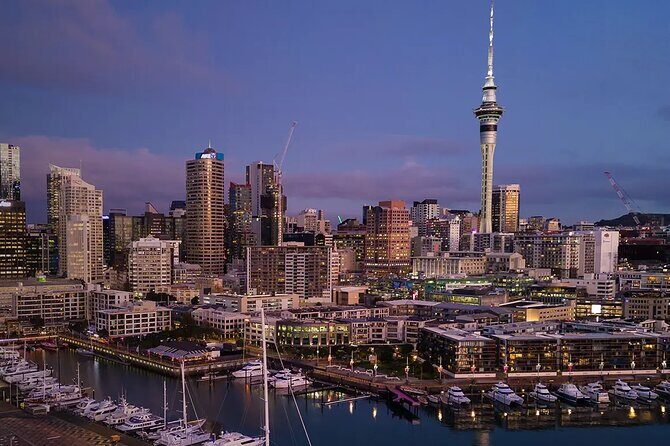 Private Auckland Airport Transfer to/from Auckland Hotels - Van - The Itinerary and Service Details