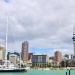 Private Auckland best Spots + Piha beach and rainforest day Tour - Practical Details and Tips
