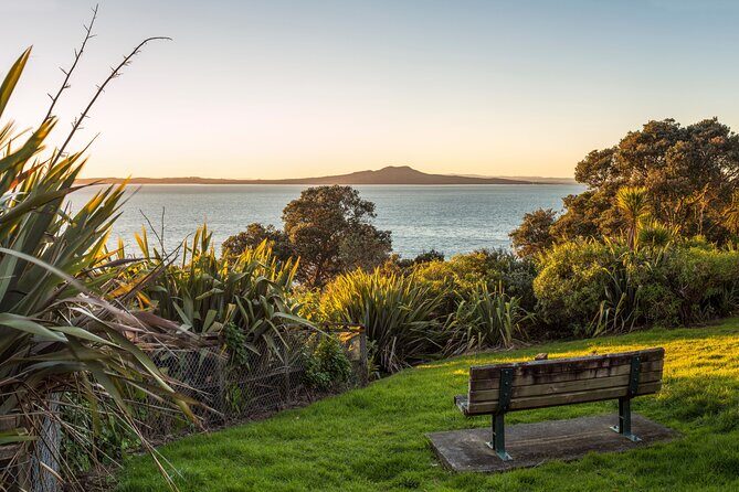 Private Auckland City Highlights Tour - Analyzing the Value and Cost