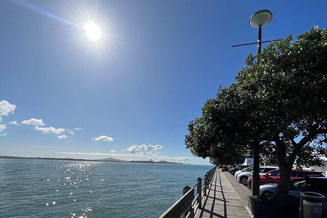 Private Auckland City Tour With Spectacular Harbour Views - Authentic Experience & Insights