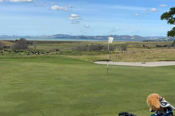 [PRIVATE] Auckland Signature Golf - Authentic Insights from Reviewers and Past Participants