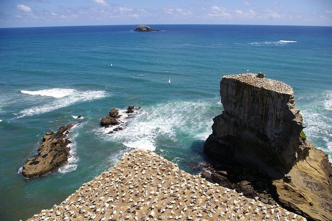 Private Auckland Wine & Dine Matakana Country & Cuisine - The Beauty of the Region