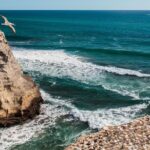 Private Auckland's West Coast - Piha/ Muriwai - Wild West Tour - Final Thoughts: Is It Worth It?