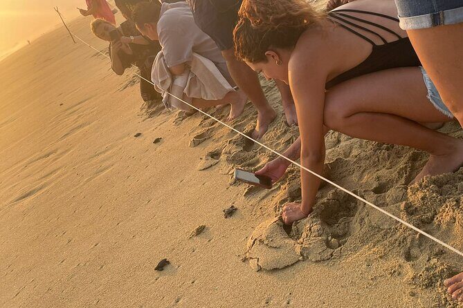 Private Baby Sea Turtle Release Huatulco HT - Why This Experience Stands Out