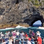 [PRIVATE] Bay of Islands Discovery From Auckland - Crossing Auckland Harbour Bridge