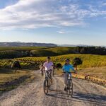 Private Biking Wine Tour (full day) in the Marlborough Region - Pricing & Value Analysis