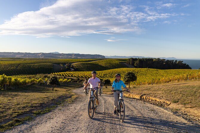Private Biking Wine Tour (full day) in the Marlborough Region - Pricing & Value Analysis