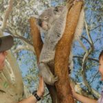 Private Blue Mountains High Country Day Trip from Sydney - Who Would Love This Tour?