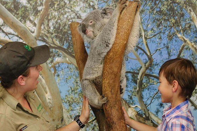 Private Blue Mountains High Country Day Trip from Sydney - Who Would Love This Tour?