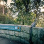 PRIVATE Blue Mountains Wilderness & Wildlife Late Start Tour - Who Will Love This Tour?