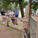 Private BlueMountains, ScenicWorld & AustralianWildlife Tour - The Value of This Experience