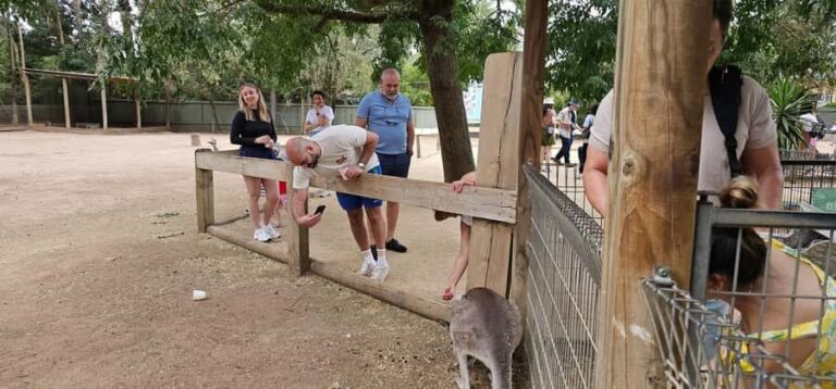 Private BlueMountains, ScenicWorld & AustralianWildlife Tour - The Value of This Experience