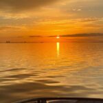 Private Boat and Dolphin Watching in Florida - Who Would Love This Tour?