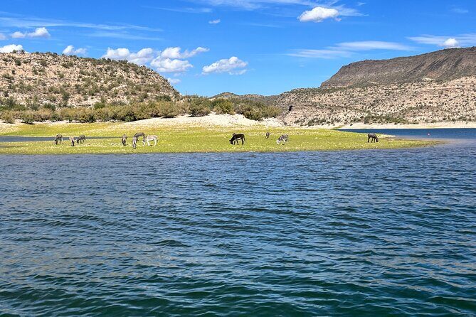 Private Boat Rental w/Captain in Lake Pleasant Arizona - Authentic Insights from Reviewers