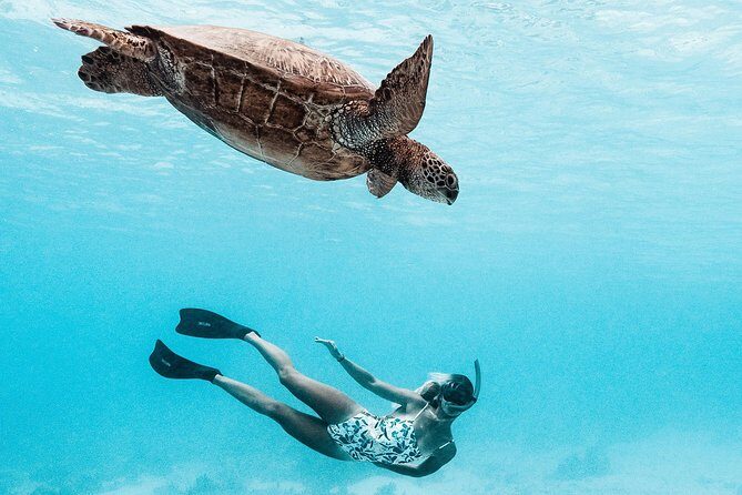Private Boat Tour of Moorea Lagoon - Who Would Love This Experience?