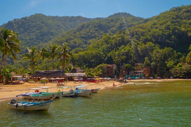 Private Boat Tour to Yelapa with Snorkeling and Waterfall Hike - What Travelers Can Expect on This Tour