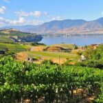 Private Boat Tour with Lunch Stop - What makes this tour stand out?