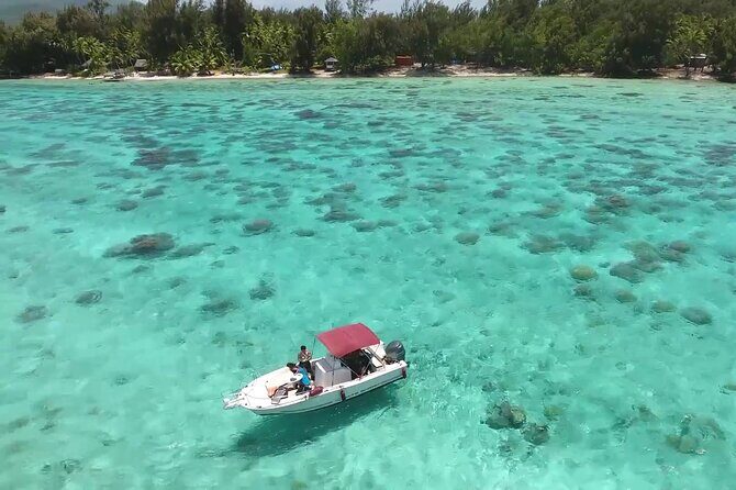 Private Bora Bora Lagoon & Water Lunch Experience - Final Thoughts