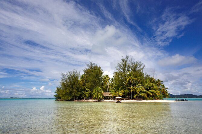 Private Bora Bora Snorkeling Cruise with Optional Vegetarian Lunch on the Beach - Who Will Love This Tour?